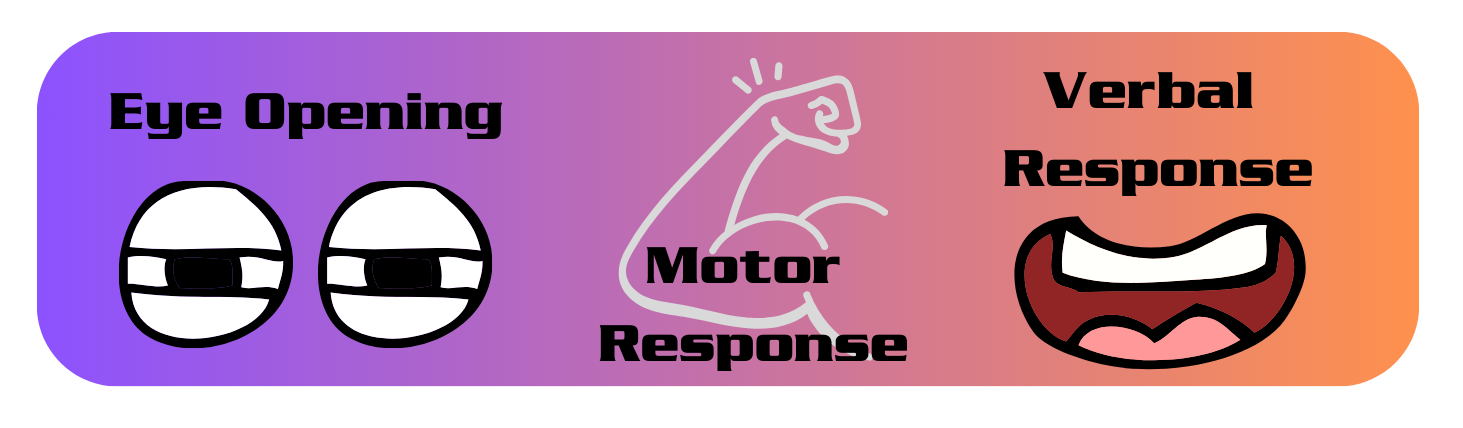 Glasgow Coma Scale (GCS) Education Review – Old Dominion EMS Alliance, Inc.